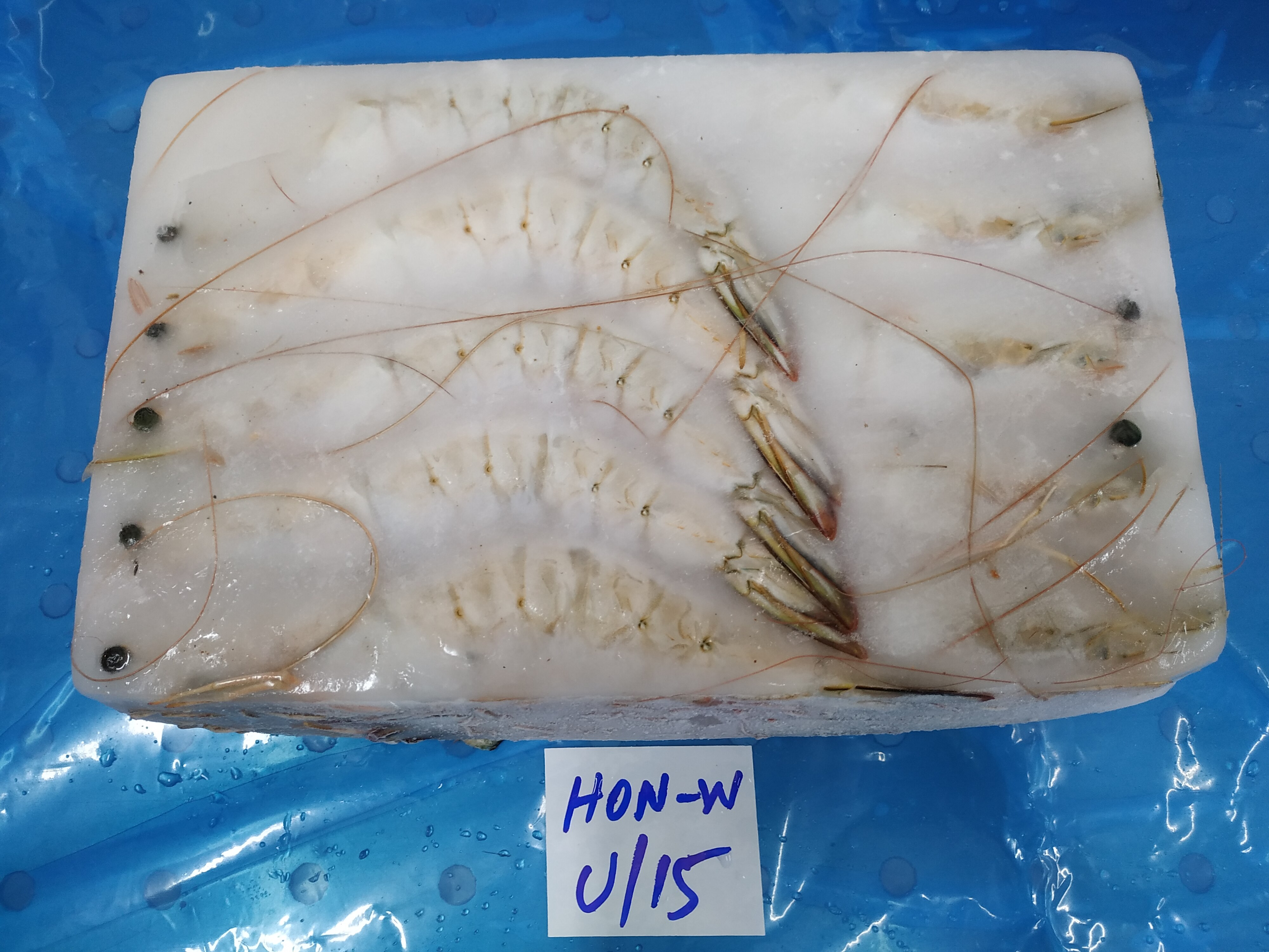 RAW FROZEN HEAD ON WHITE BLOCK FROZEN SHRIMPS -K V Marine Exports, Chennai