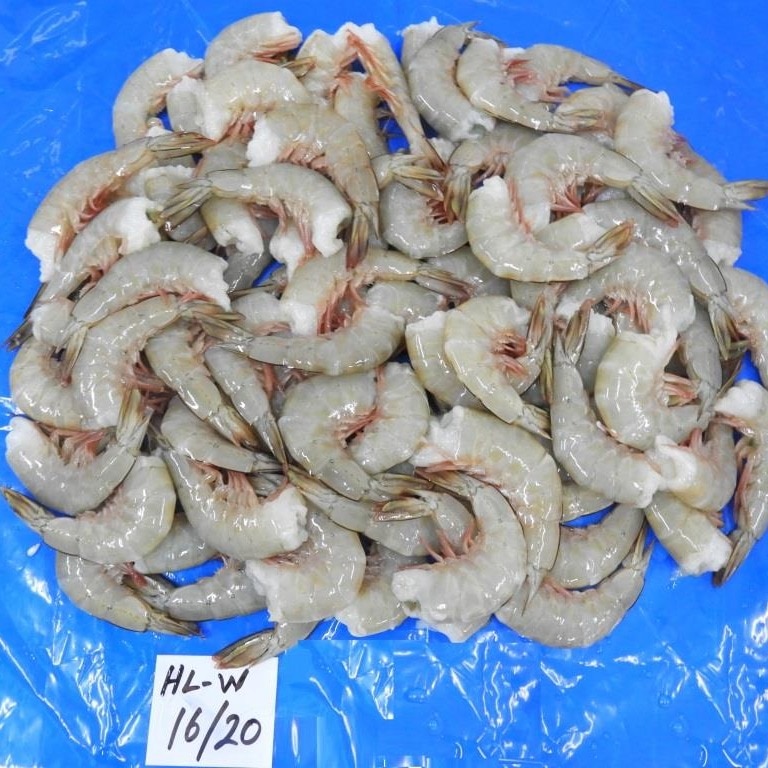 RAW FROZEN HEADLESS WHITE SHRIMPS & PRAWNS (BLOCK) Products in Chennai ...