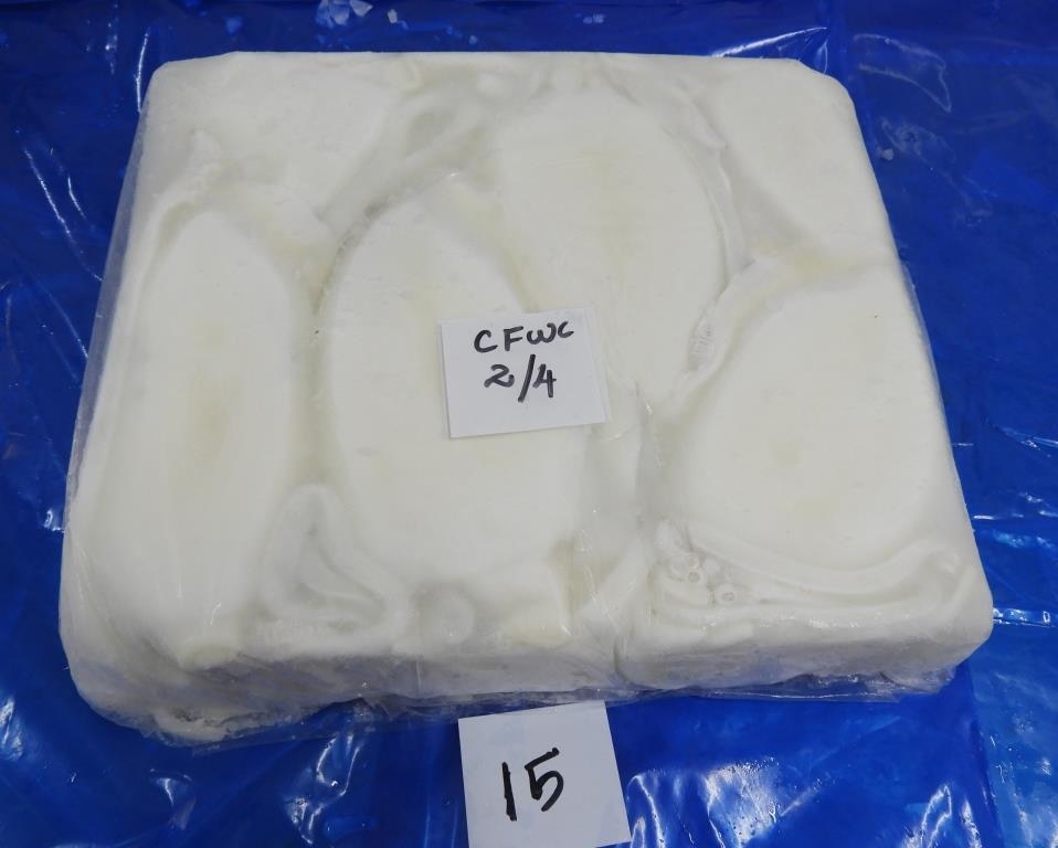 CUTTLEFISH WHOLE CLEANED - BLOCK FROZEN - GRADE 2 -K V Marine Exports ...