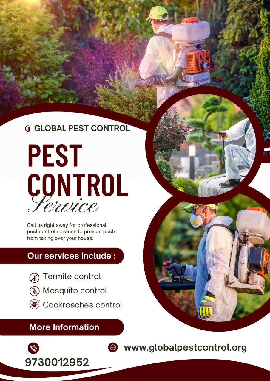 GLOBAL PEST CONTROL in Aurangabad