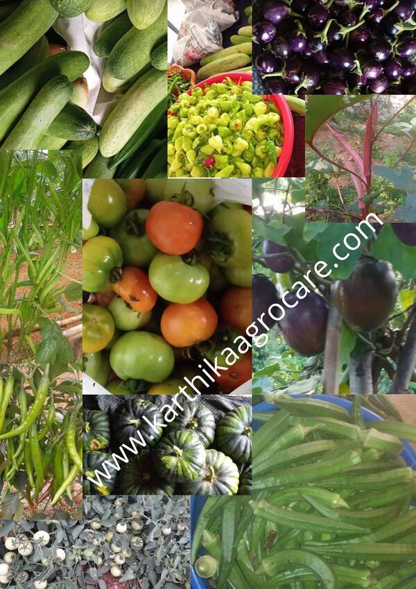 Karthika Agrocare in Thiruvananthapuram, India