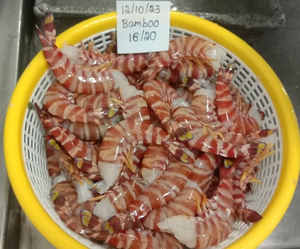 CUTTLEFISH TENTACLES -K V Marine Exports, Chennai