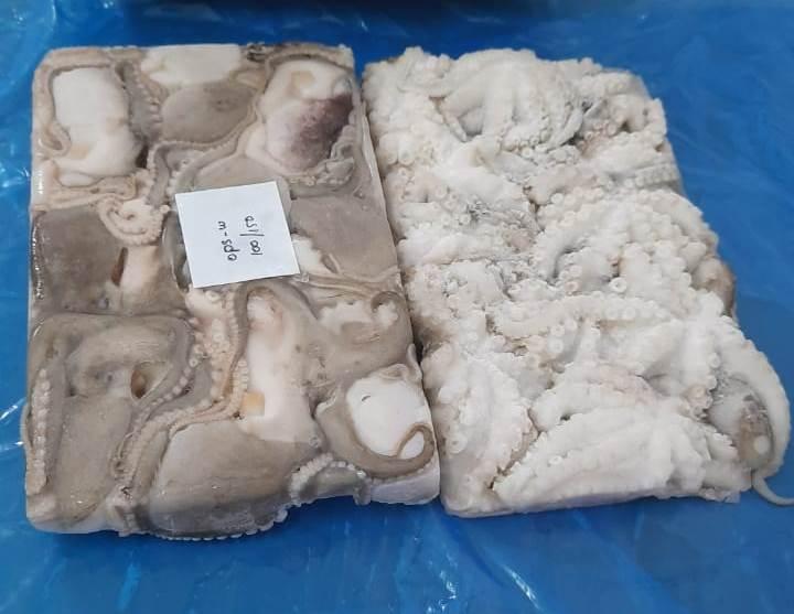 Top SHRIMPS & PRAWNS,CUTTLEFISH,SQUID Products in Chennai at best ...