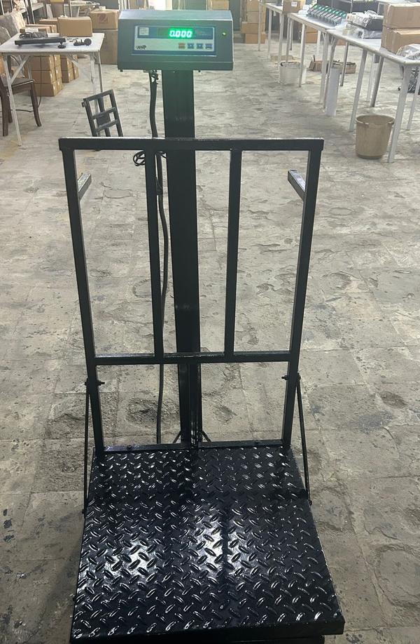 Electronic Trolley Weighing Scale Products at price INR 20000 in ...