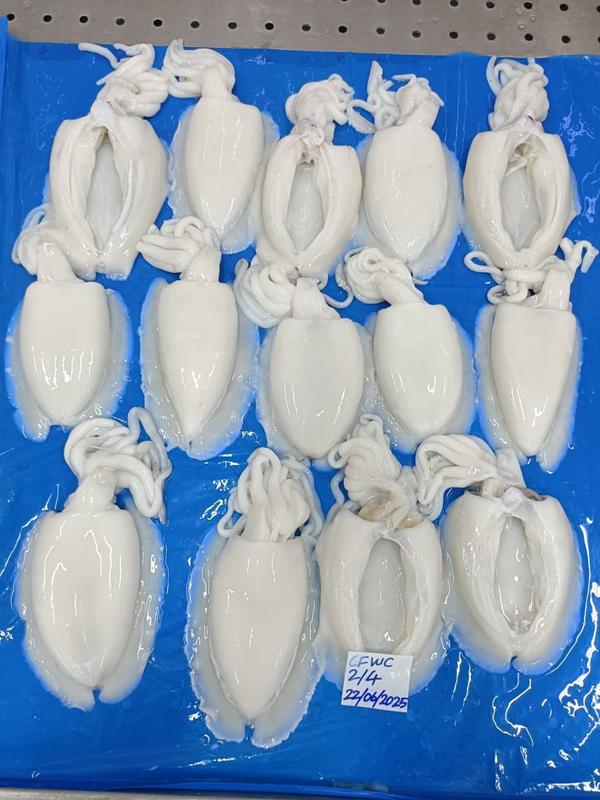 Products | K V Marine Exports, India